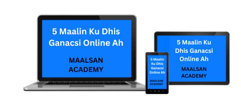 5 Maalin Kudhis Ganacsi Online - Maalsan Academy